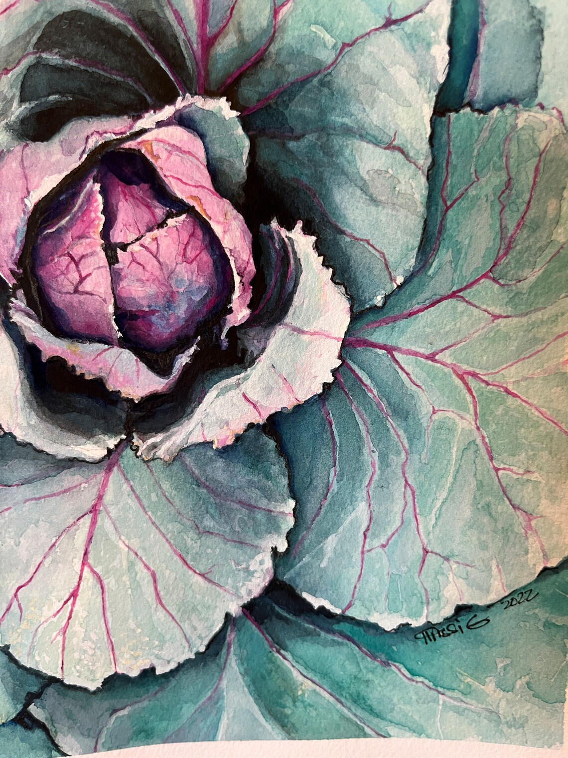 Cabbage PRINT | Red Cabbage Art | Botanical Giclee | 8x10 - Etsy