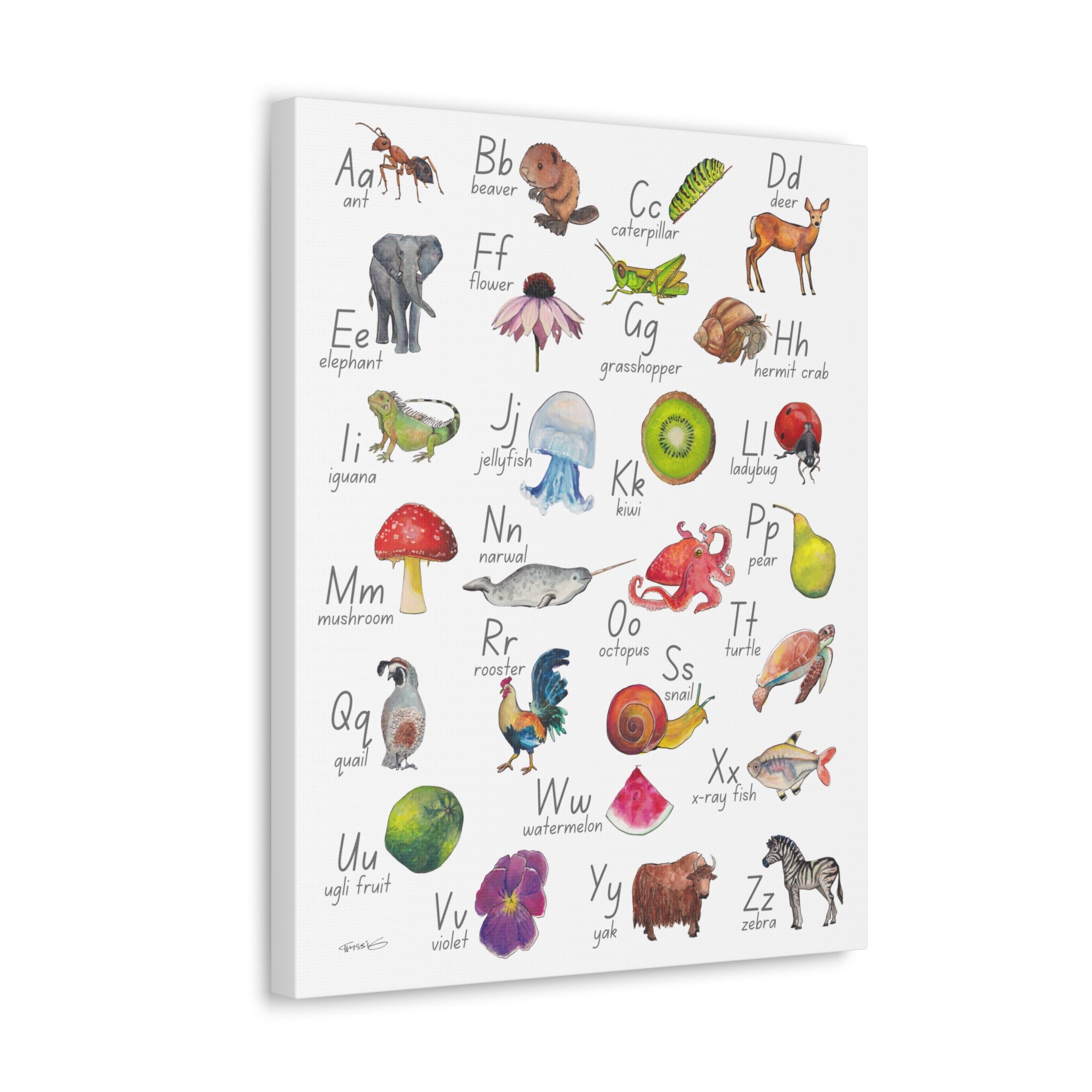 Nature Animals and Objects Alphabet Poster on Canvas, Natural Alphabet ...