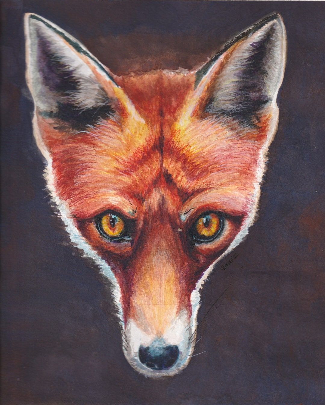 Fox Head PRINT | Red Fox Canine Giclee | Sizes Vary - Etsy