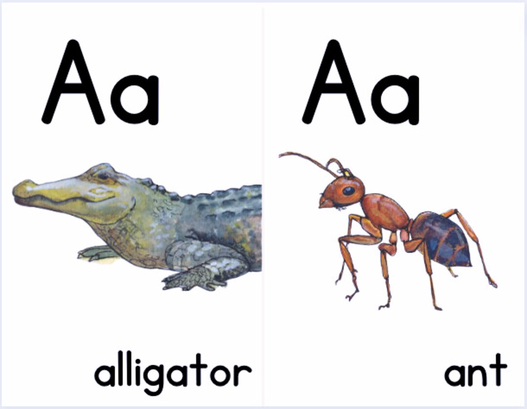 Nature Animals and Objects Alphabet Watercolor Art DIGITAL FILES ...