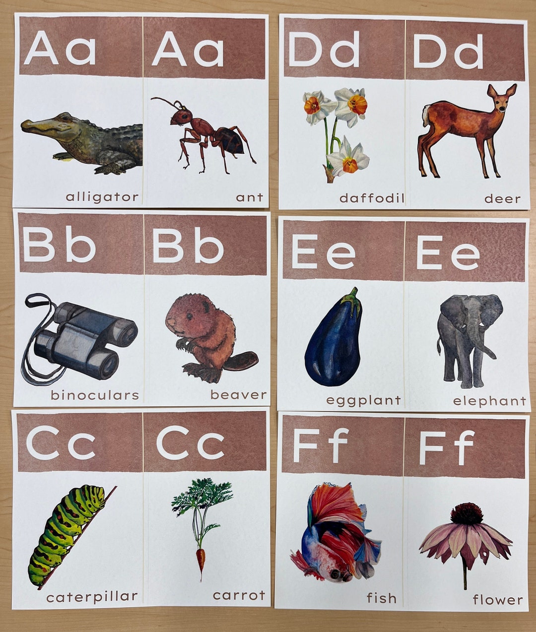 Nature Animals, Objects Alphabet Watercolor Brown Detail DIGITAL FILES ...