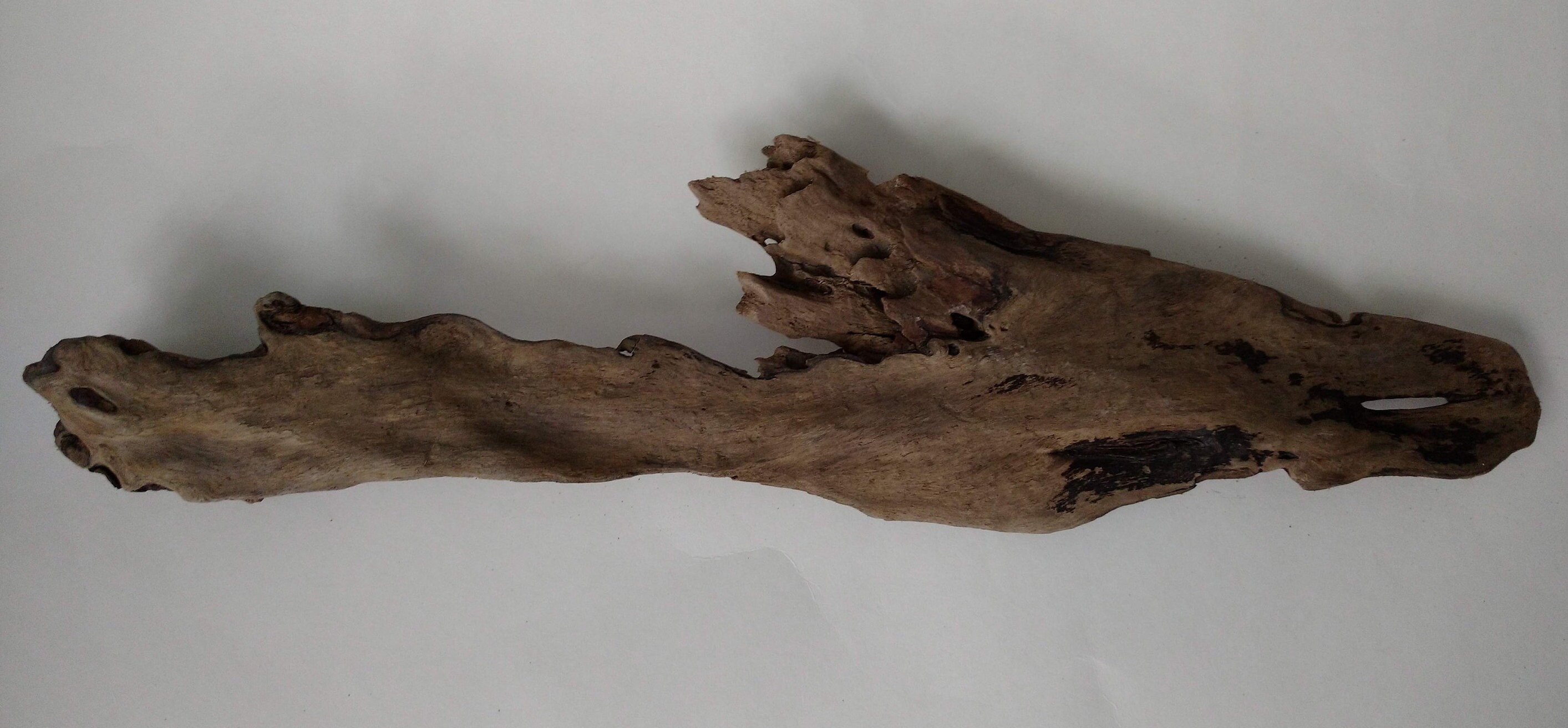 Unique Canadian Driftwood / Unfinished Wooden Decor / Wood Craft ...