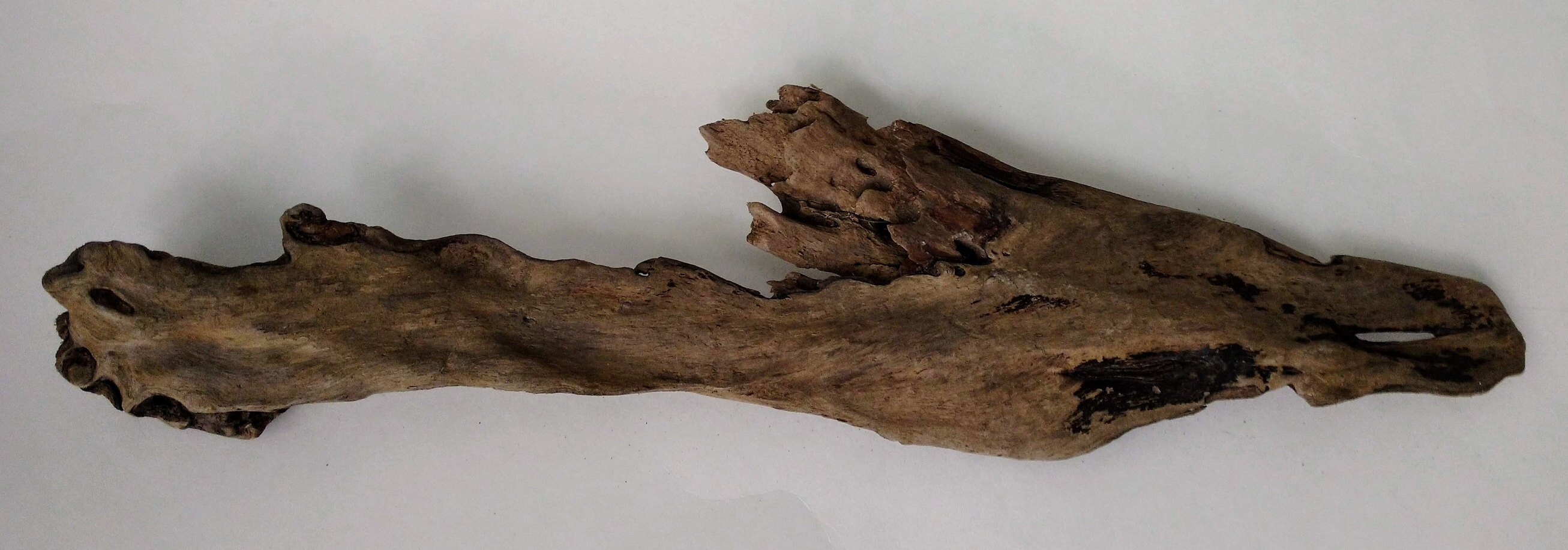 Unique Canadian Driftwood / Unfinished Wooden Decor / Wood Craft ...