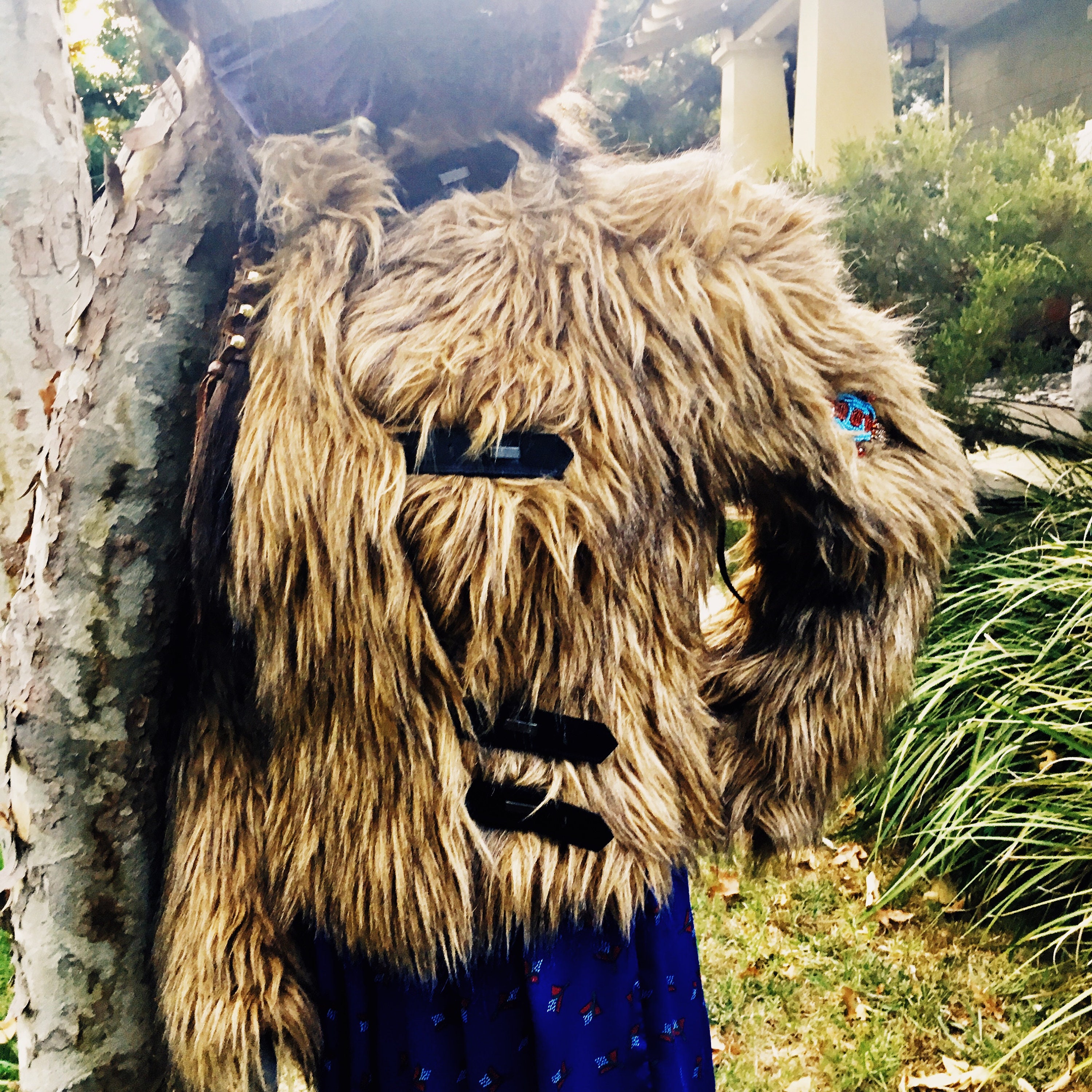 Brown Shaggy Faux Fur Coat With Black Sequin Planet Warm Coat Burning ...