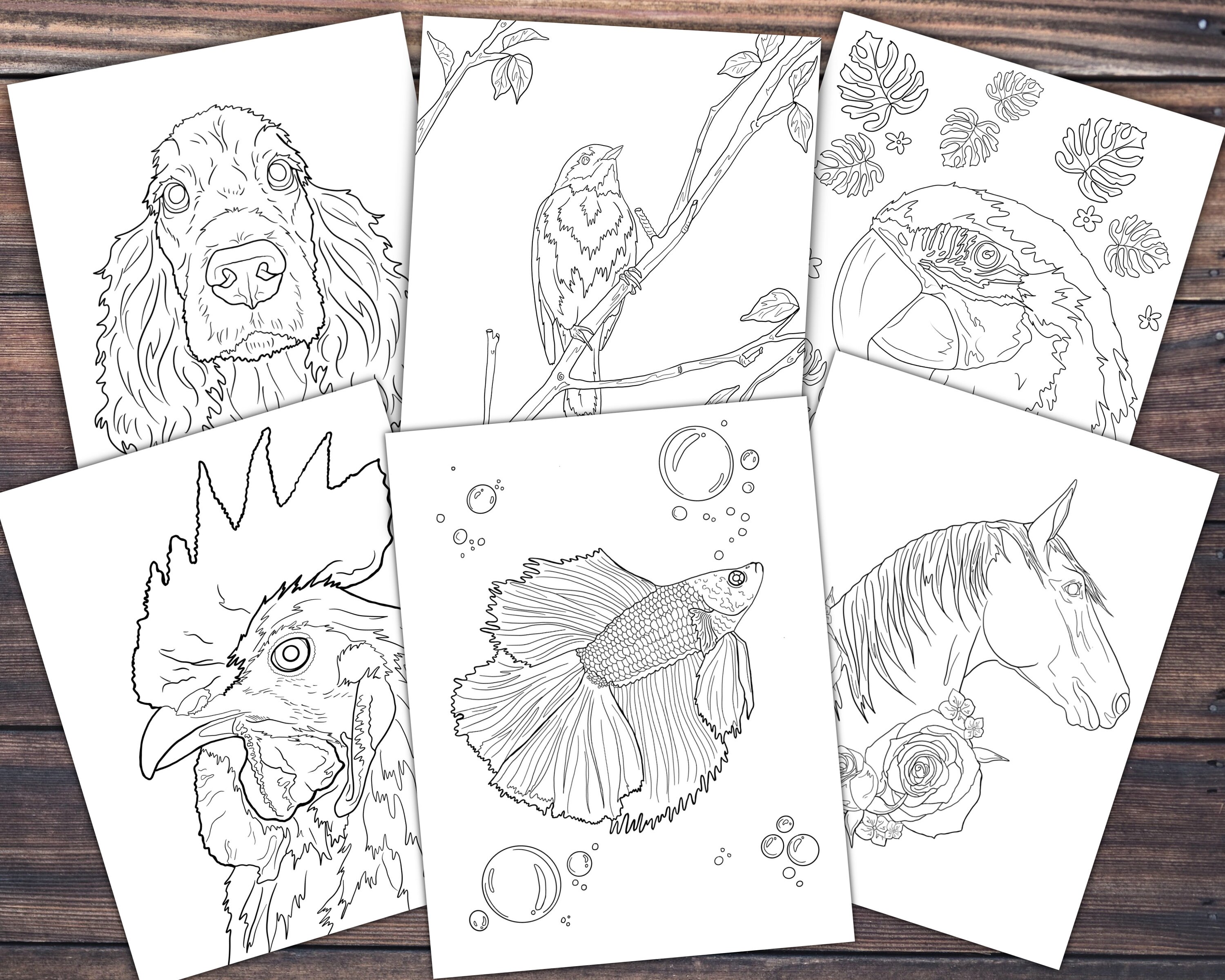 12 Printable Coloring Pages of Pets and Animals, Downloadable Images ...