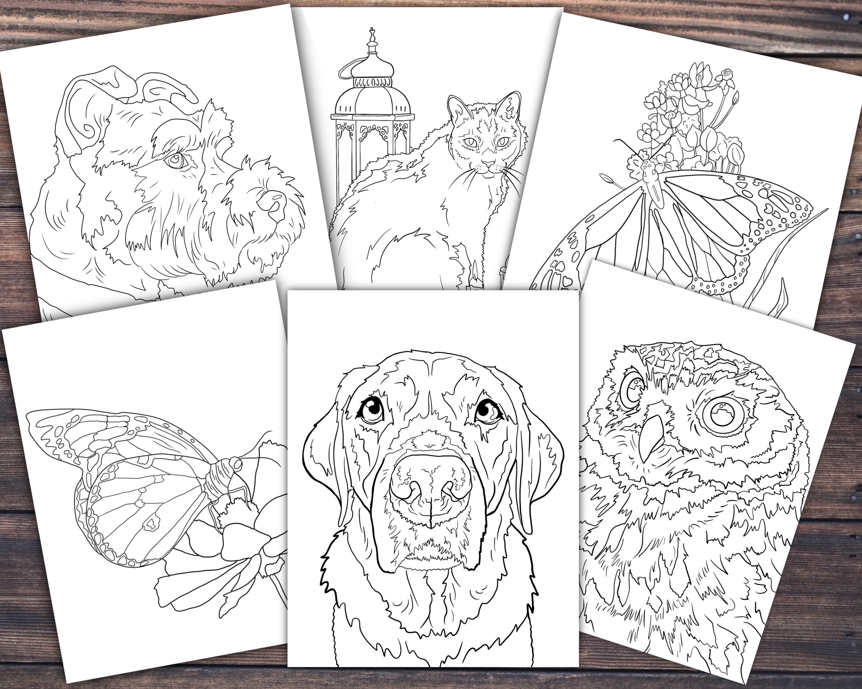 12 Printable Coloring Pages of Pets and Animals, Downloadable Images ...