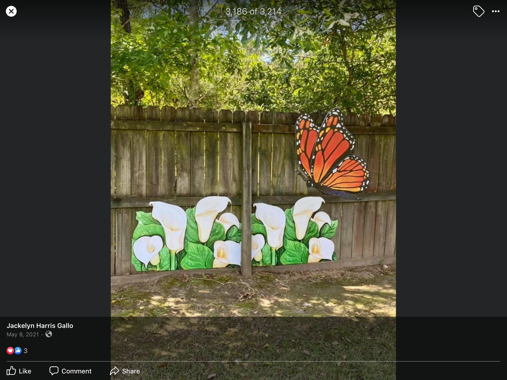 Cala Lilly Fence Panel - Etsy