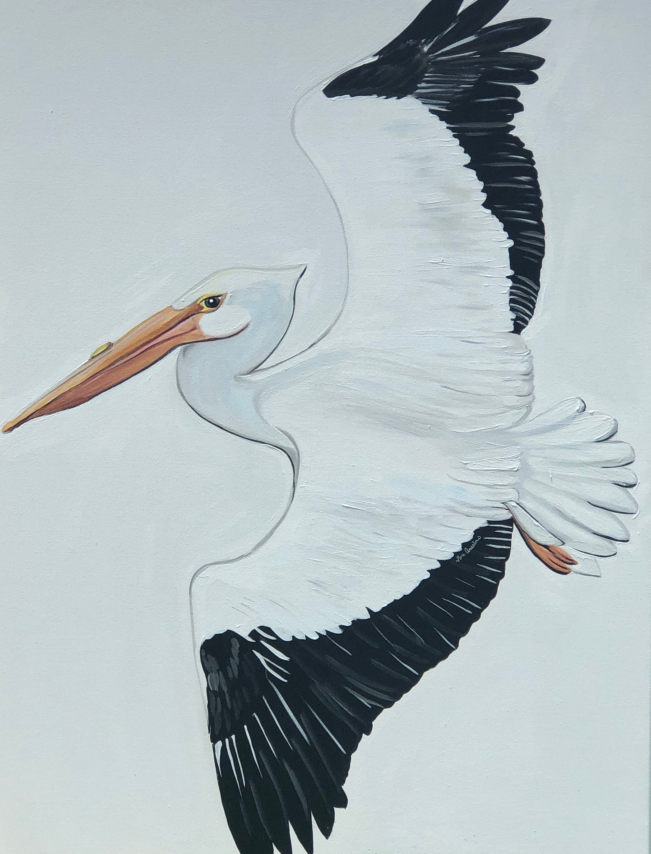 Flying Pelican Fence Panel - Etsy