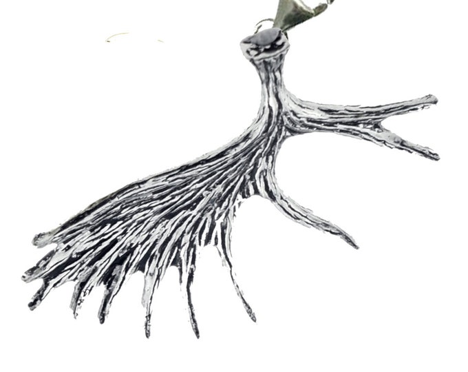 Taxidermy Large Adult European Roe Deer Buck. Full Head Mount and 6 ...