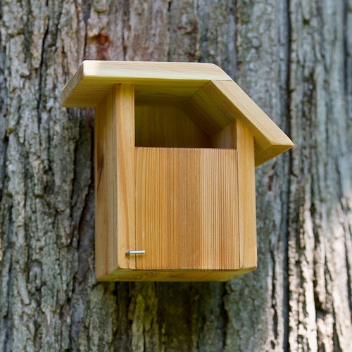 Carolina Wren Cedar Bird House - Etsy