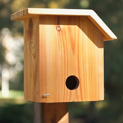 Chickadee Winter Roosting Box. | Etsy