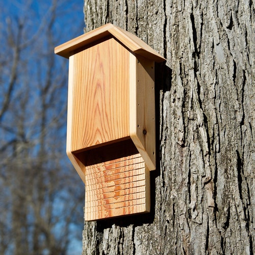 A Set of Two Handmade Cedar Single Chamber Bat House Made in - Etsy