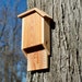 Eastern Phoebe Cedar Nest Box - Etsy