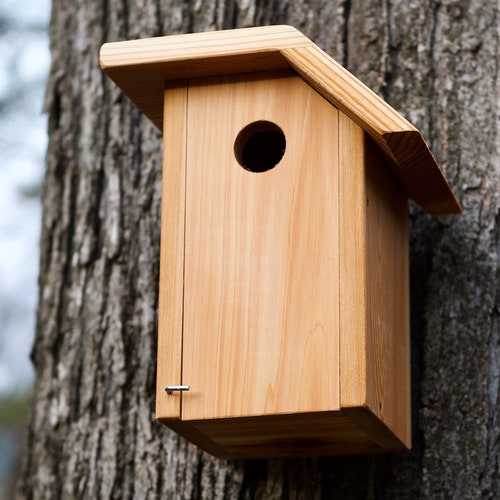 Tree Swallow Cedar Bird House - Etsy
