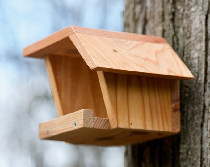Eastern Phoebe Cedar Nest Box - Etsy