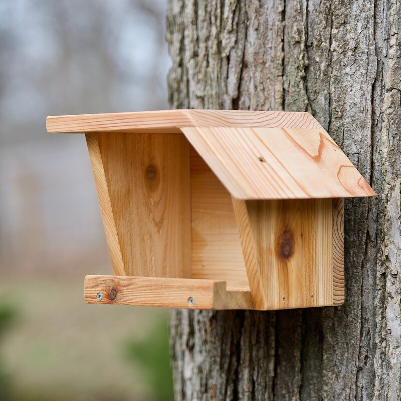 Robin Bird House - Etsy