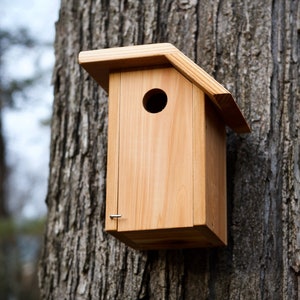 Tree Swallow Cedar Bird House | Etsy