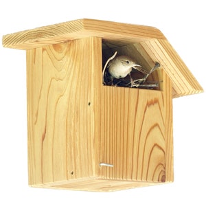 Carolina Wren Cedar Bird House - Etsy