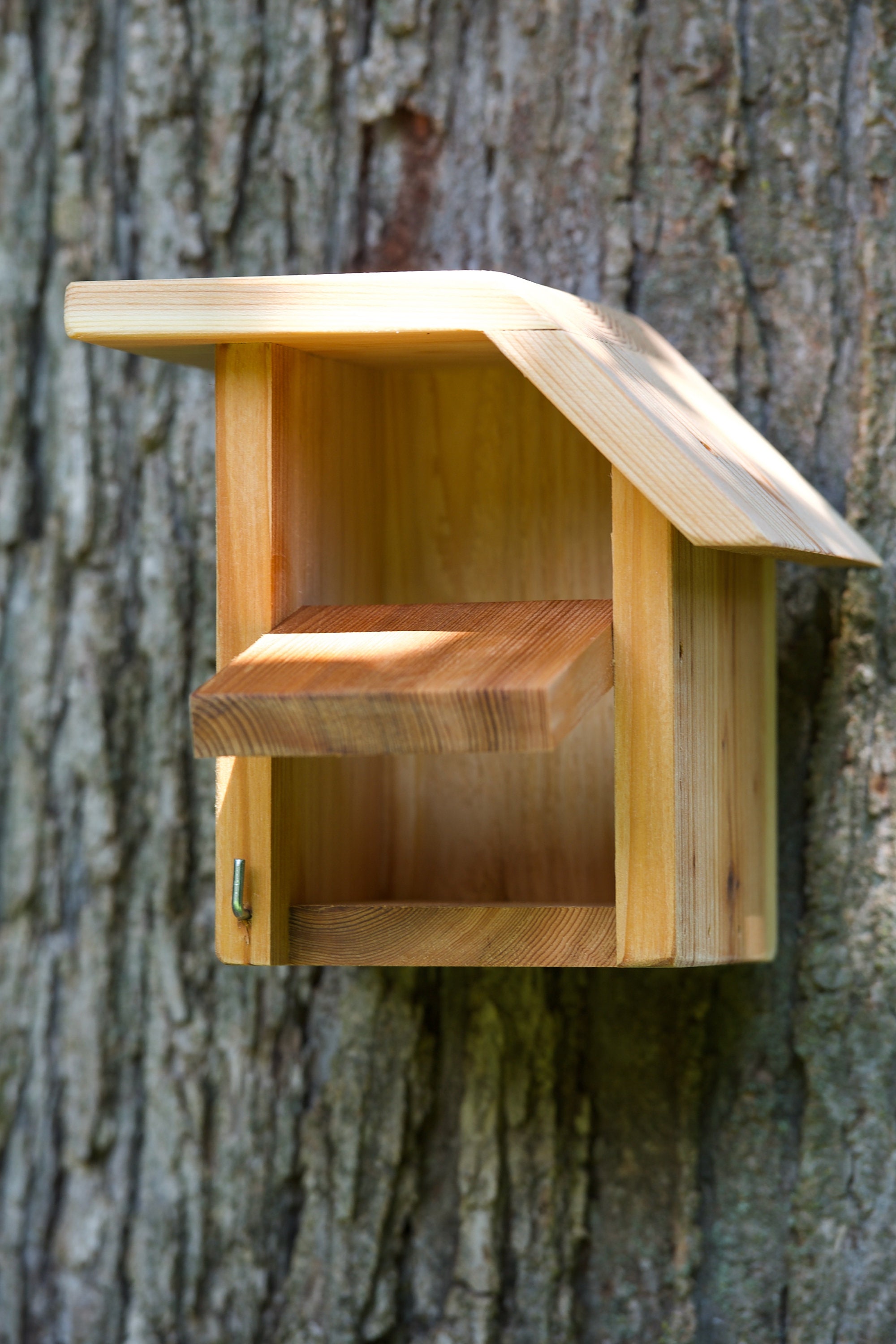 Carolina Wren Cedar Bird House - Etsy