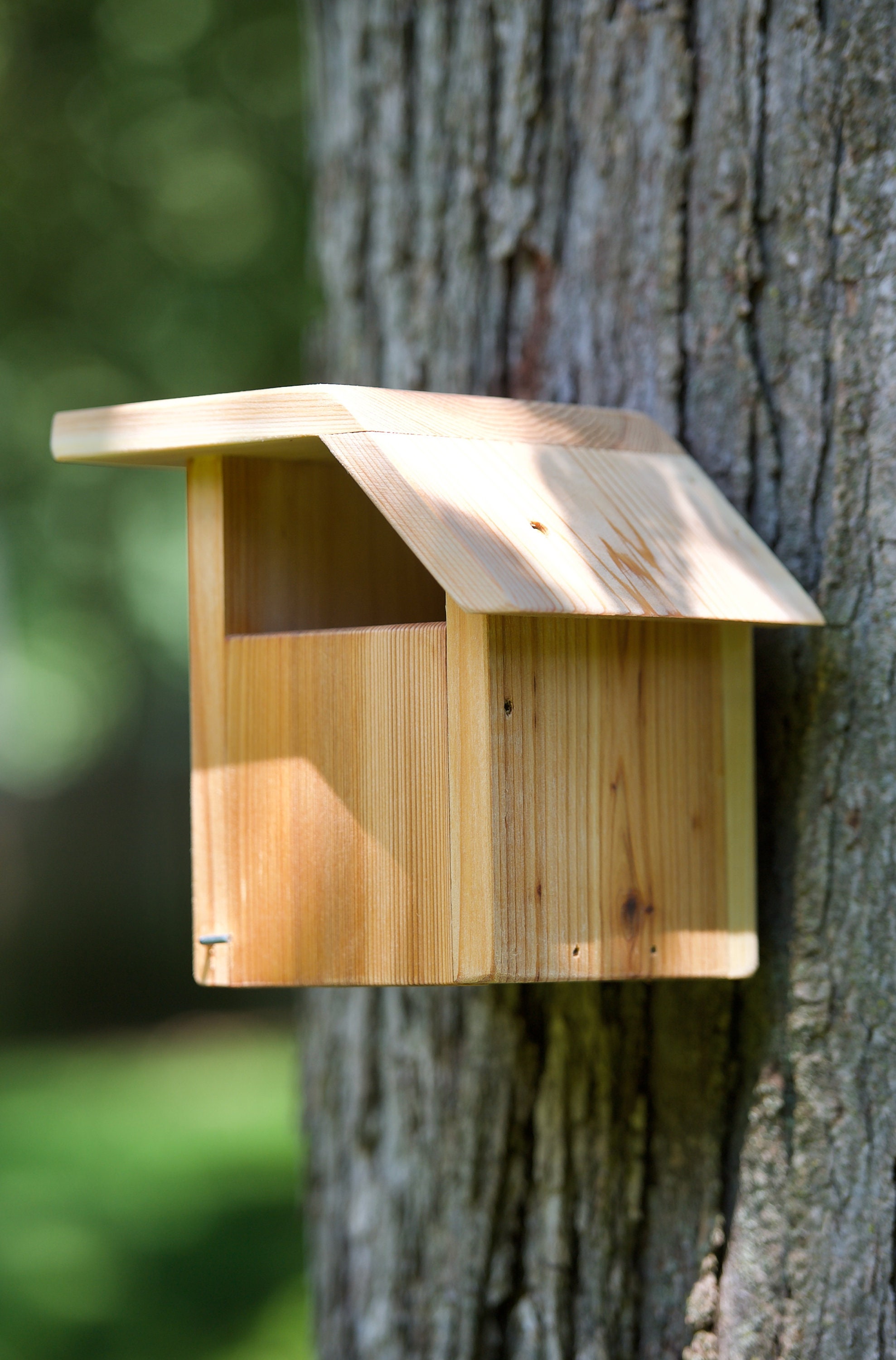 Carolina Wren Cedar Bird House - Etsy