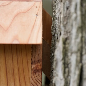 Eastern Phoebe Cedar Nest Box - Etsy