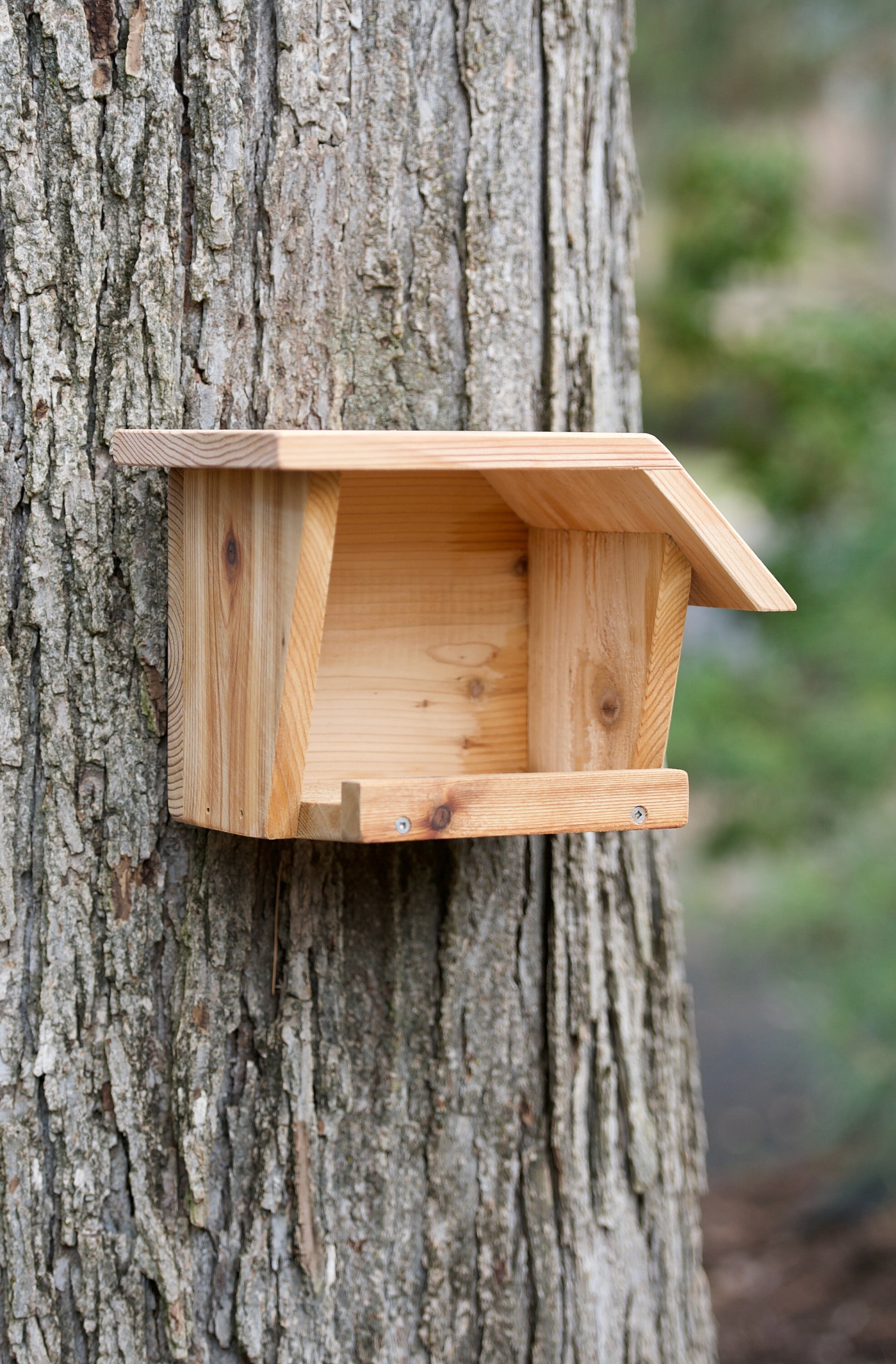 American Robin Cedar Nest Box | Etsy