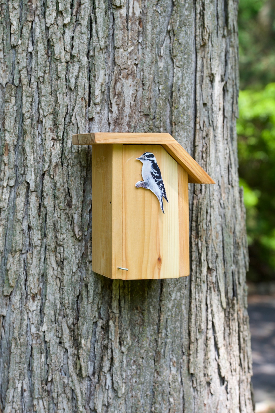 Downy Woodpecker Cedar Bird House - Etsy