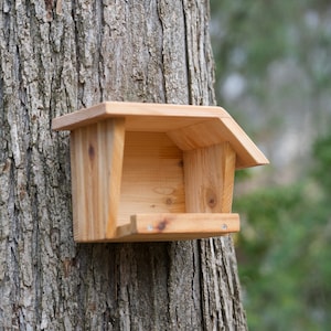 Eastern Phoebe Cedar Nest Box - Etsy