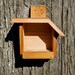 Eastern Phoebe Cedar Nest Box - Etsy