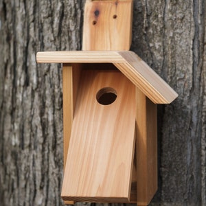 Tree Swallow Cedar Bird House - Etsy