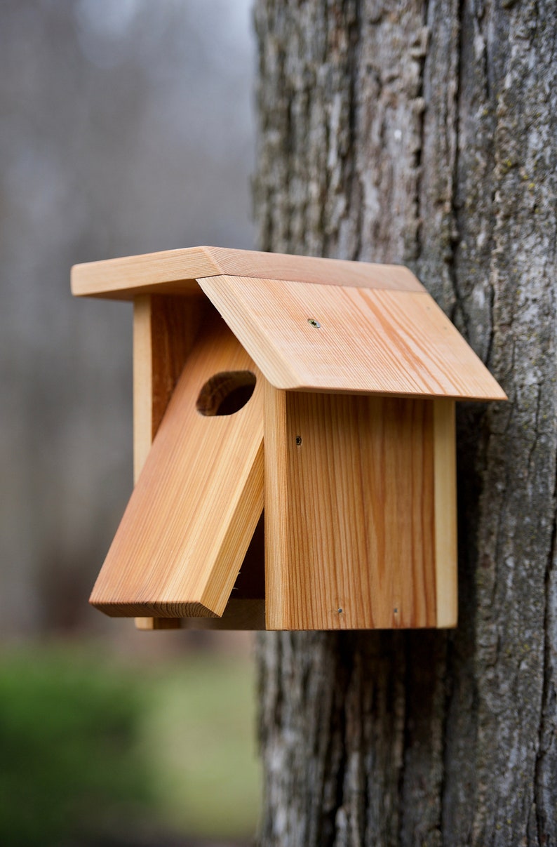 Tree Swallow Cedar bird house | Etsy