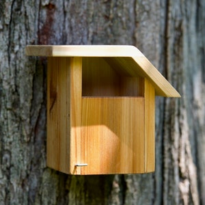 Carolina Wren Cedar Bird House - Etsy