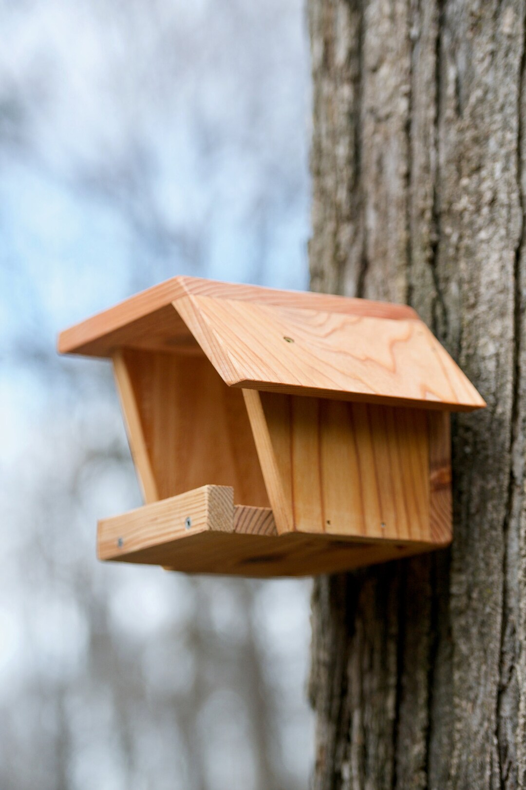 Eastern Phoebe Cedar Nest Box - Etsy