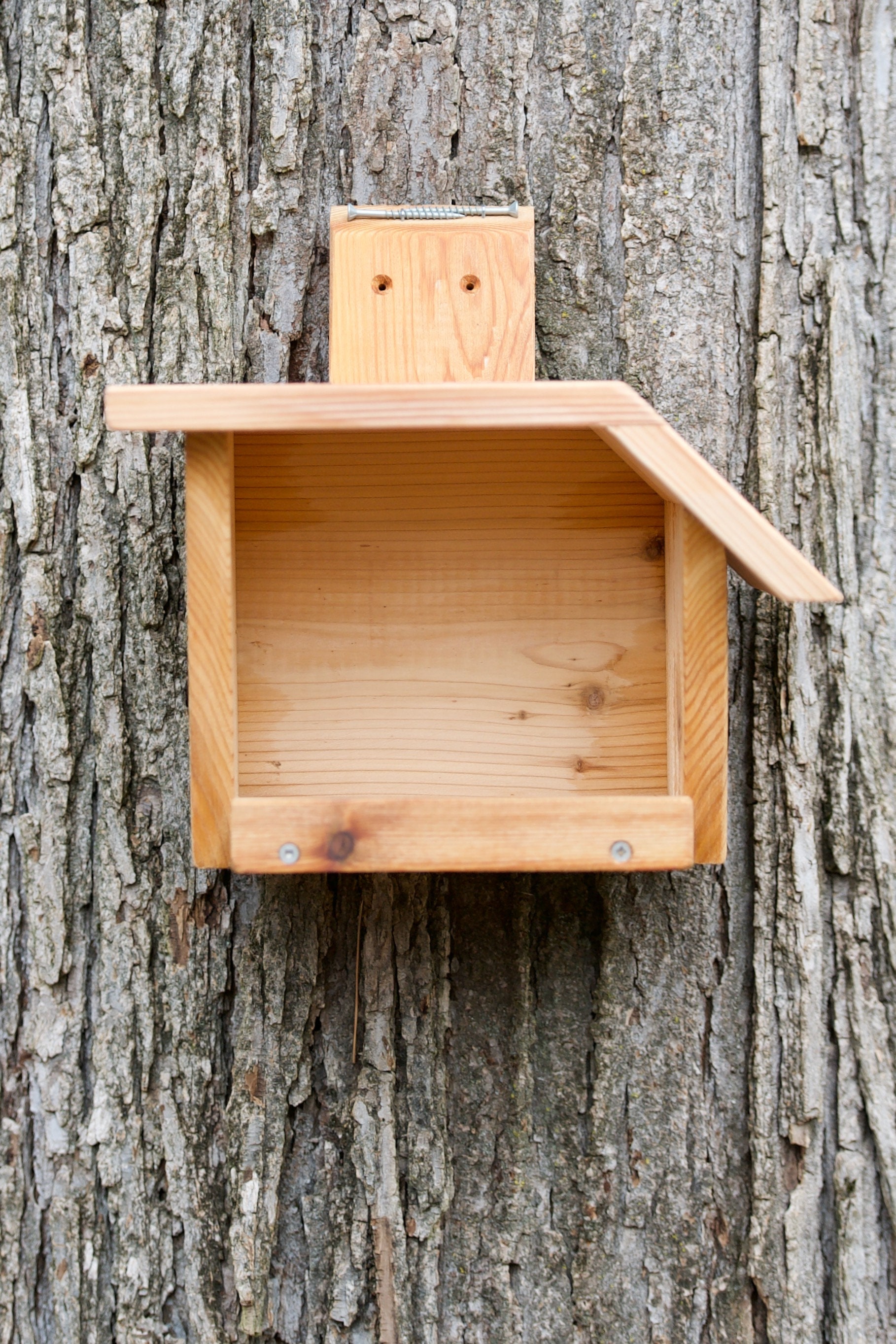 American Robin Cedar Nest Box | Etsy