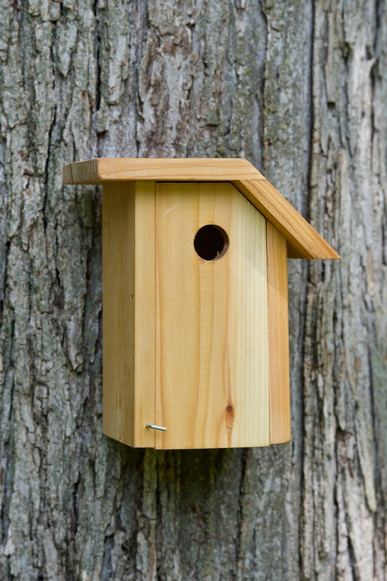 Downy Woodpecker Cedar Bird House - Etsy