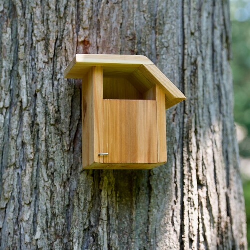 Tree Swallow Cedar Bird House - Etsy Canada