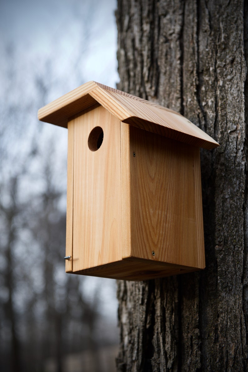 Tree Swallow Cedar Bird House | Etsy