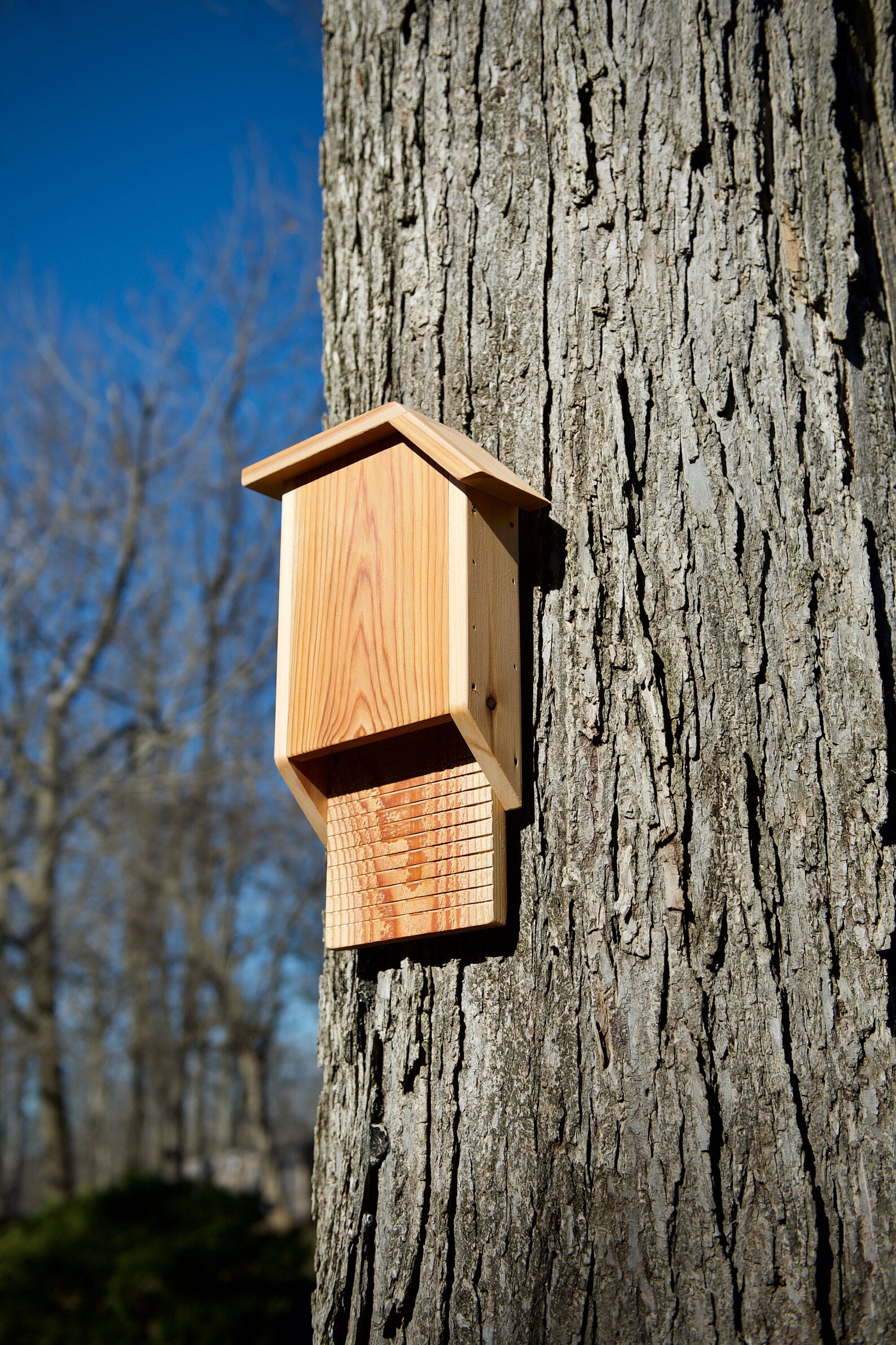 Cedar Bat House M | Etsy