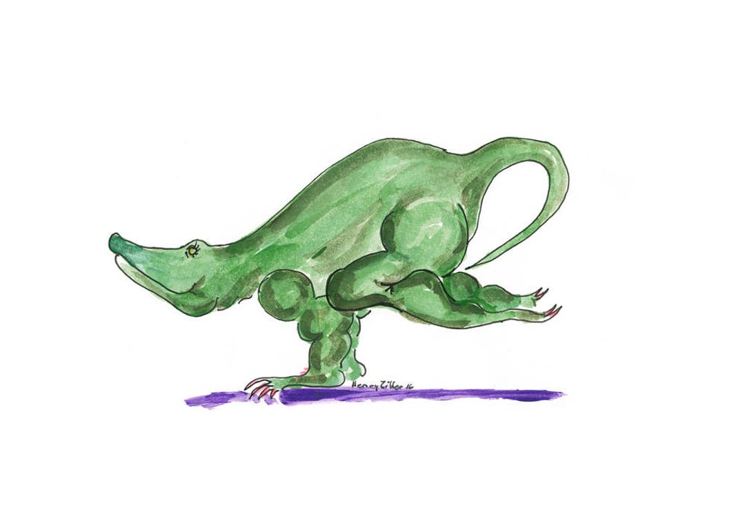 Yoga, Yoga Pose, Bakasagator, Bakasana, Louisiana, Gator, Alligator ...