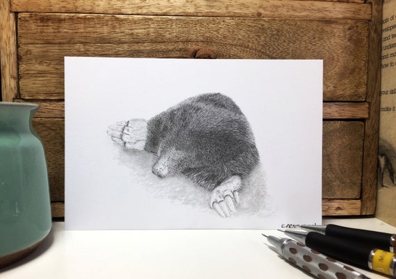 Mole Original Art 'postcard' Graphite Drawing 6x4 | Etsy