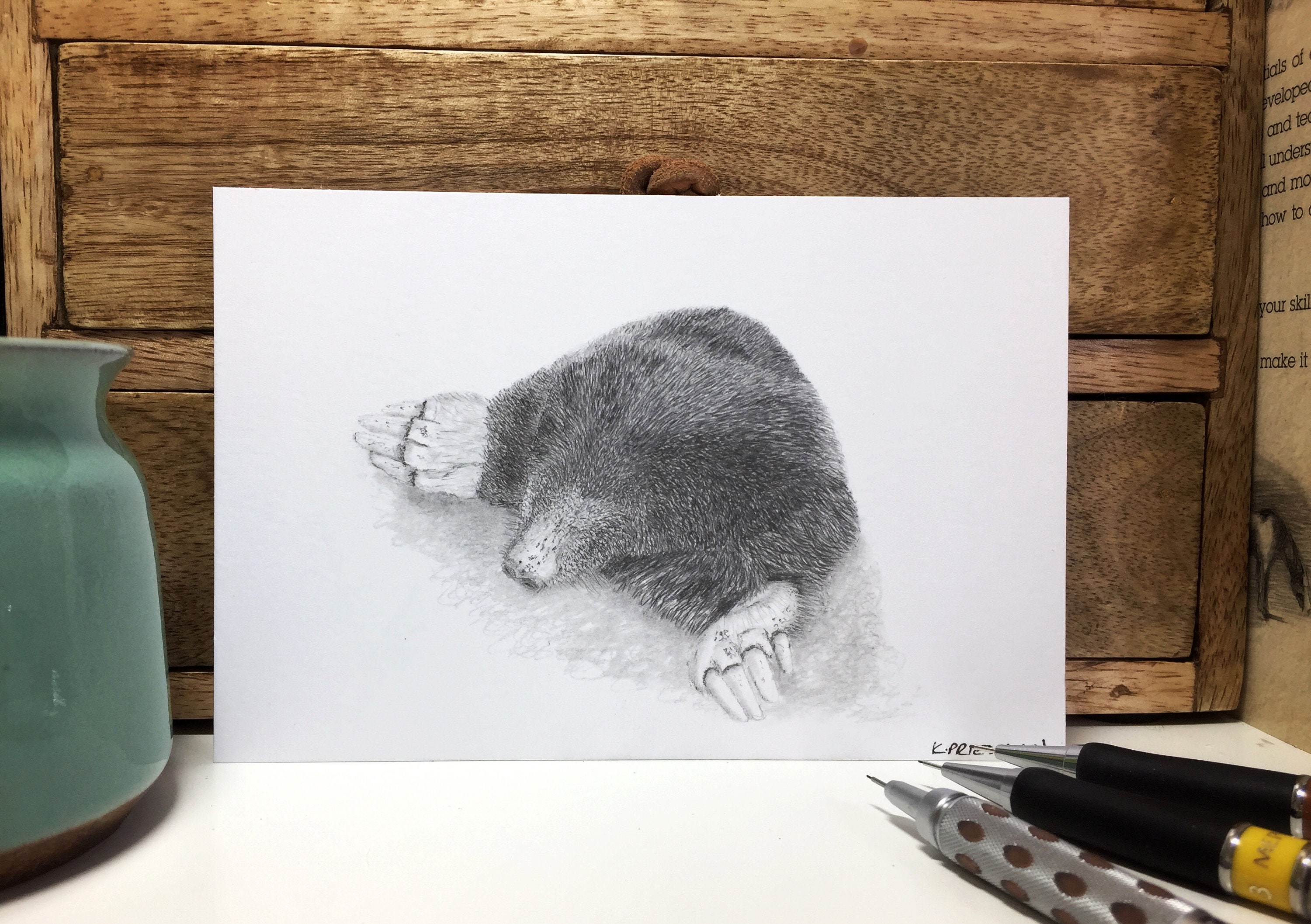 Mole Original Art 'postcard' Graphite Drawing 6x4 - Etsy