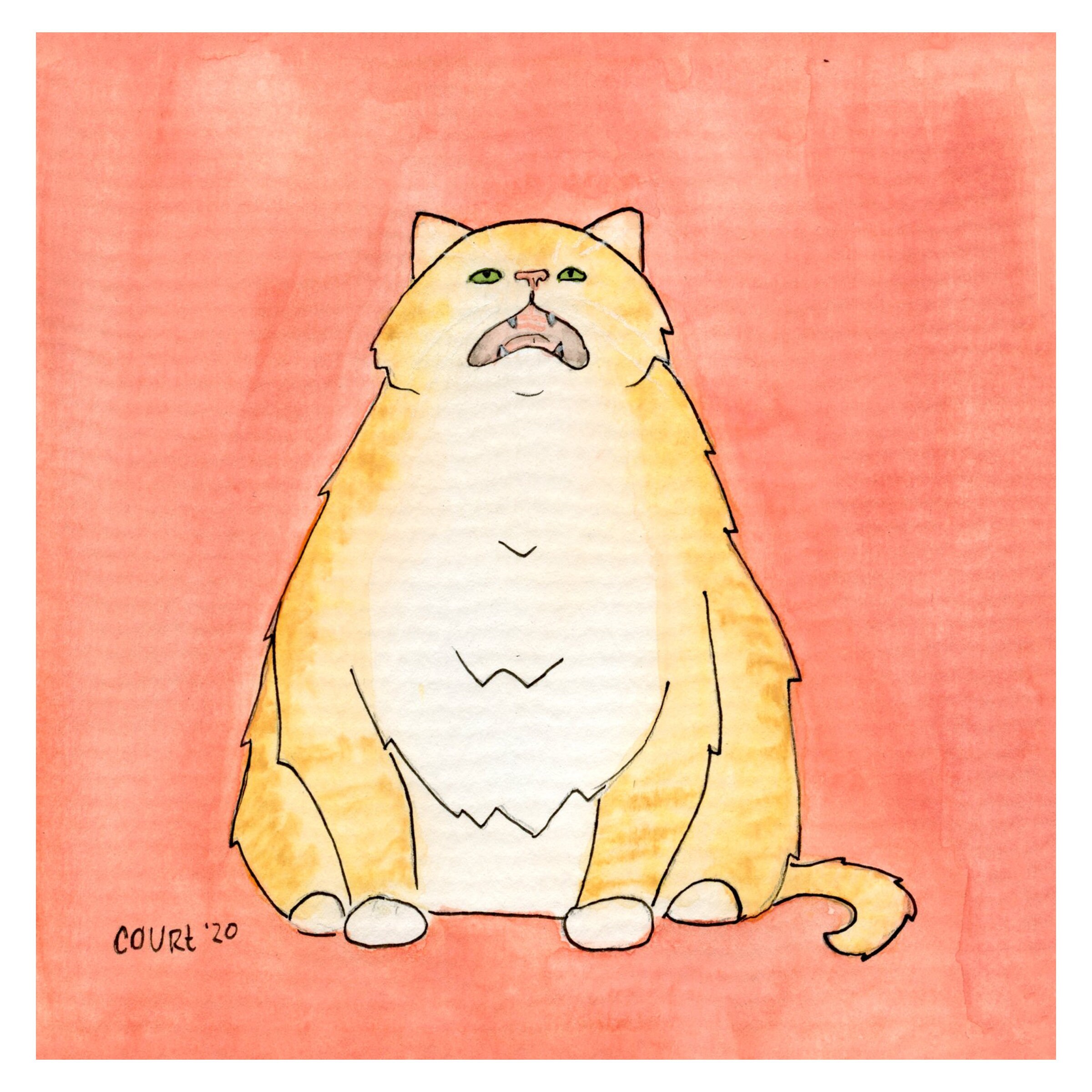 Moar Cat