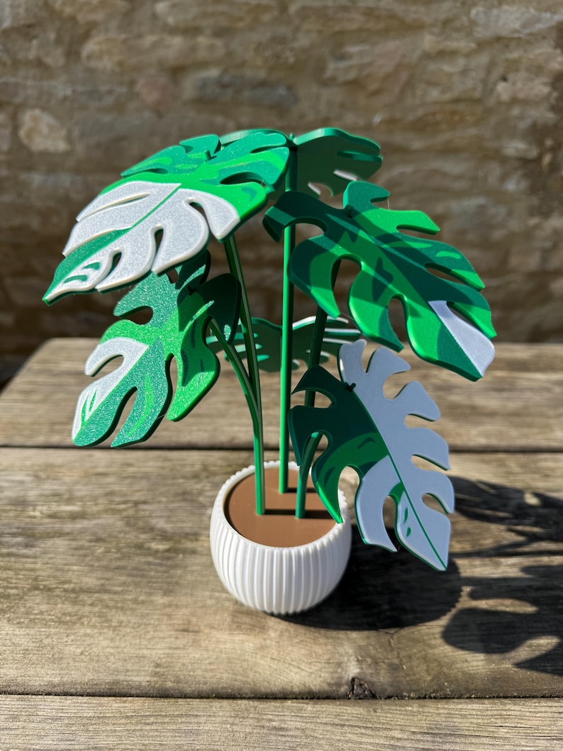 3D Printed Monstera Variegata Plant | Decorative Model With 6 Leaf ...