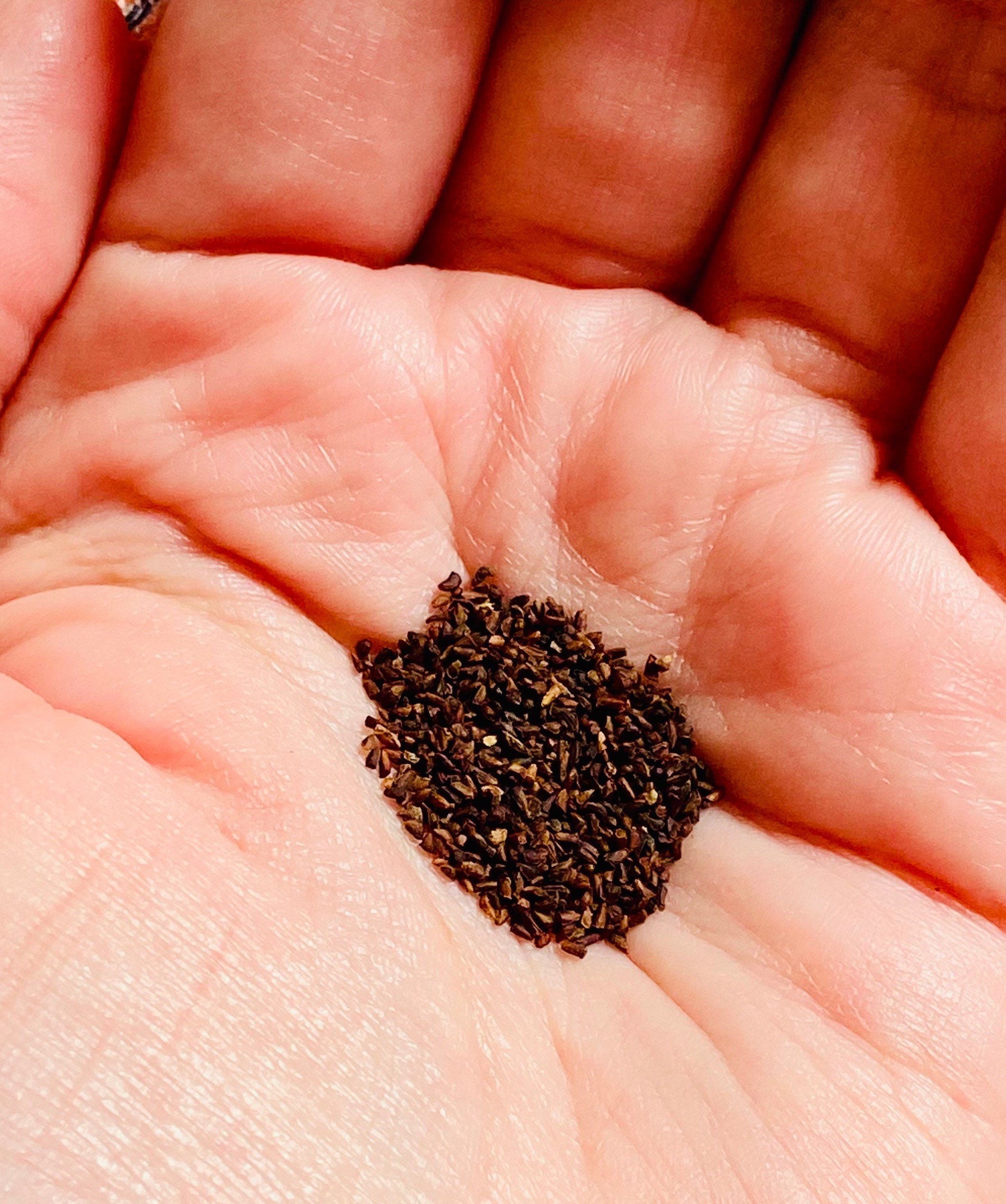 Semillas de onagra 45 CT Paquete de semillas Variedad - Etsy España