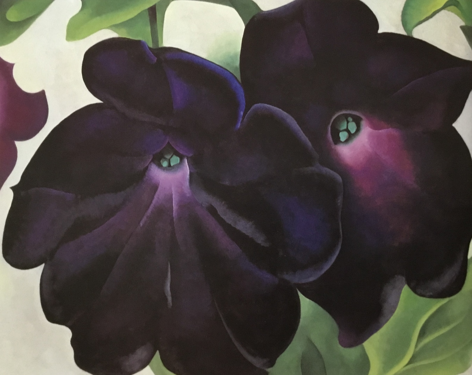Georgia O'keeffe Black and Purple Petunias Custom Framed Print - Etsy