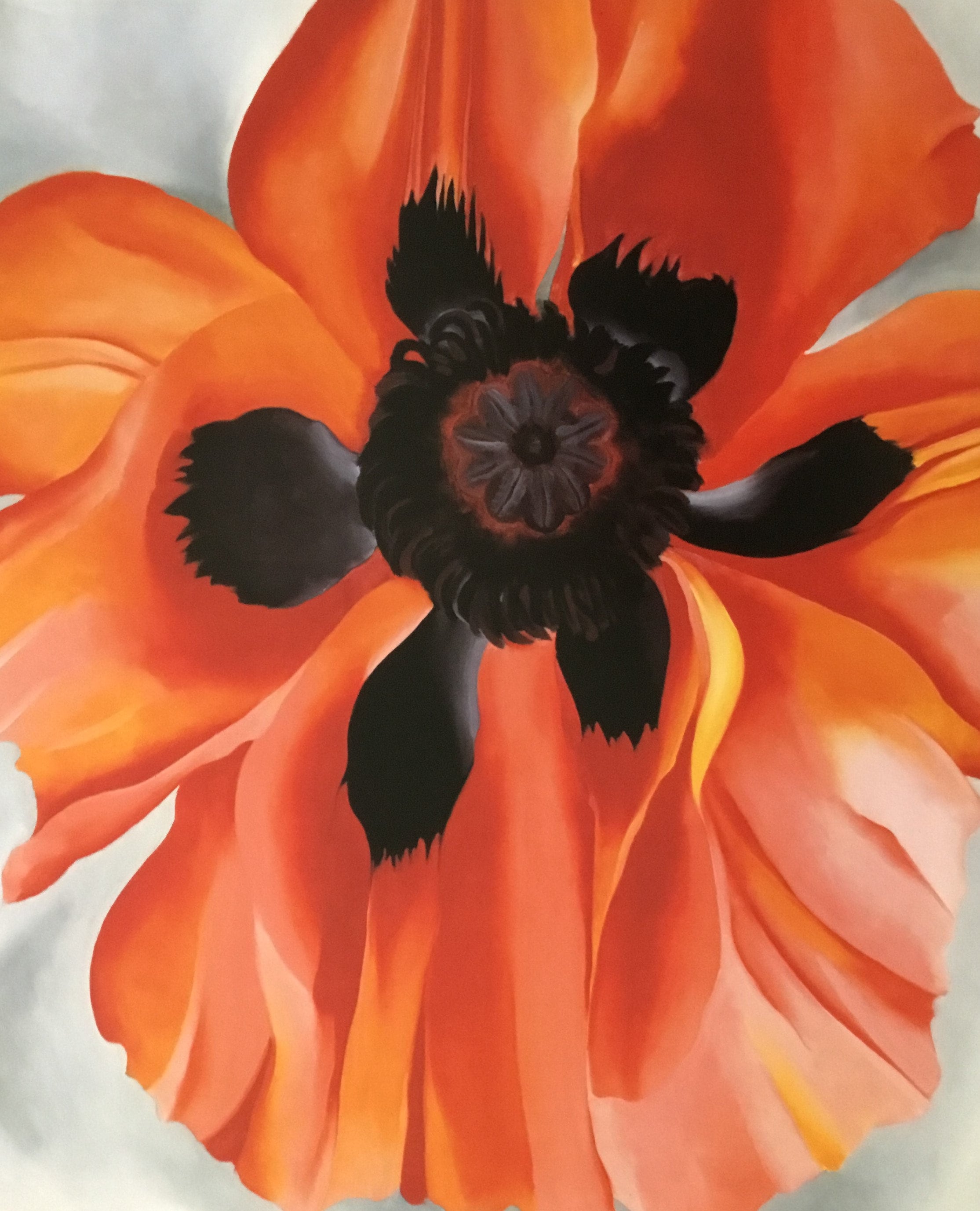 Georgia O'keeffe Red Poppy No. VI Custom Framed Print - Etsy