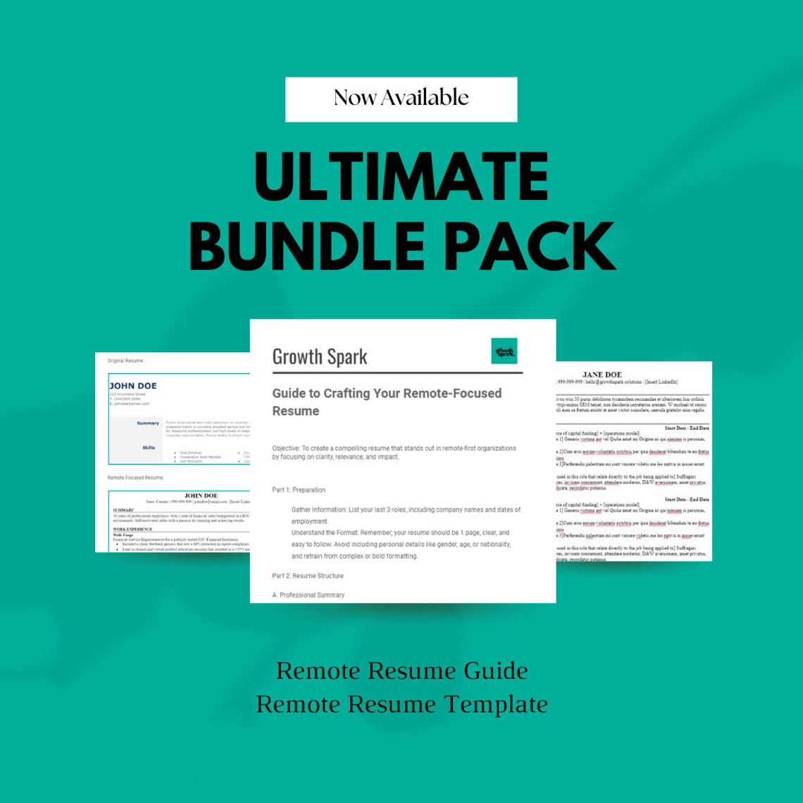 Remote Career Resume Guide & Customizable Template Editable Resume and ...