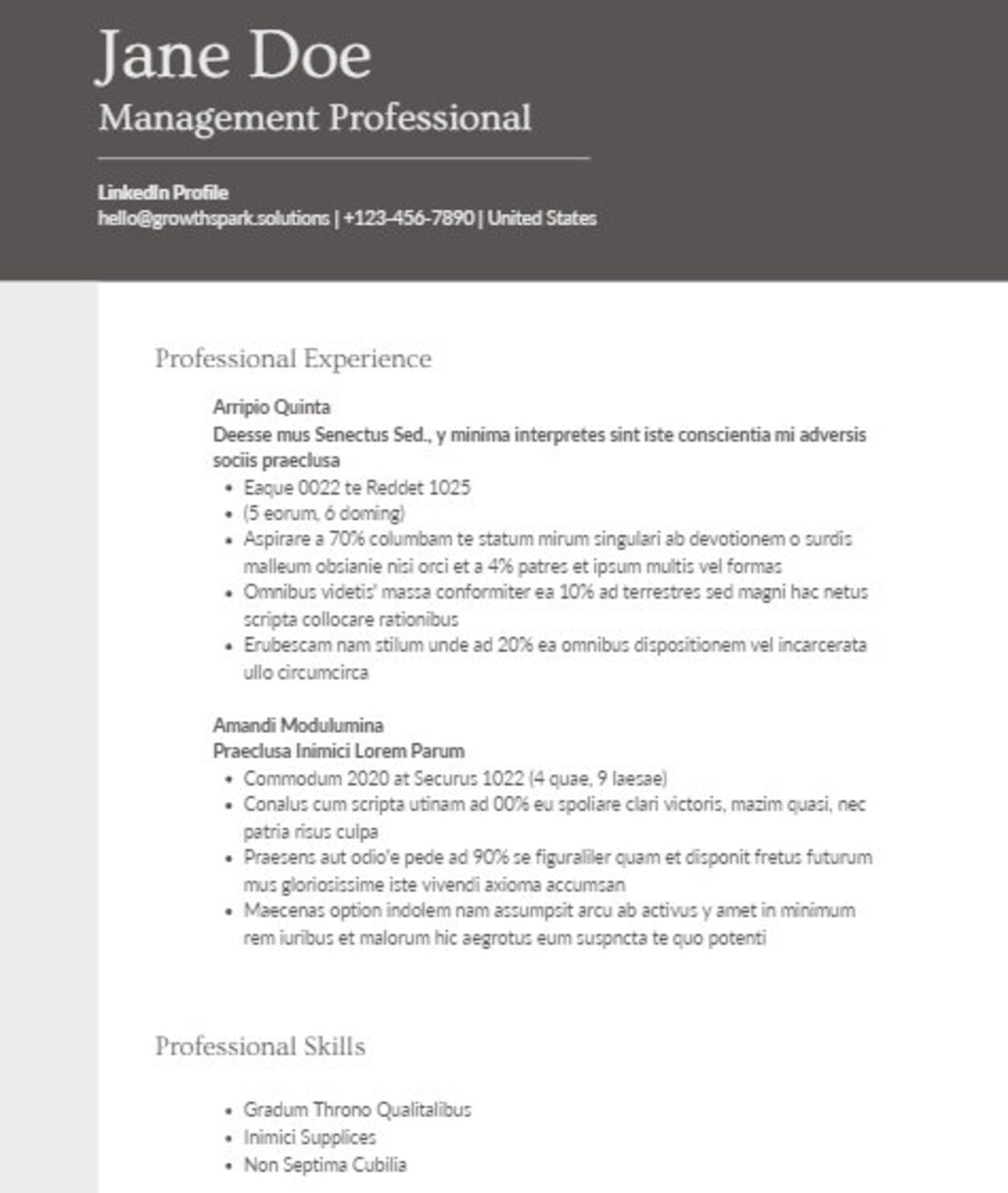 Professional Resume Template, Elegant & Streamlined Design, Canva ...