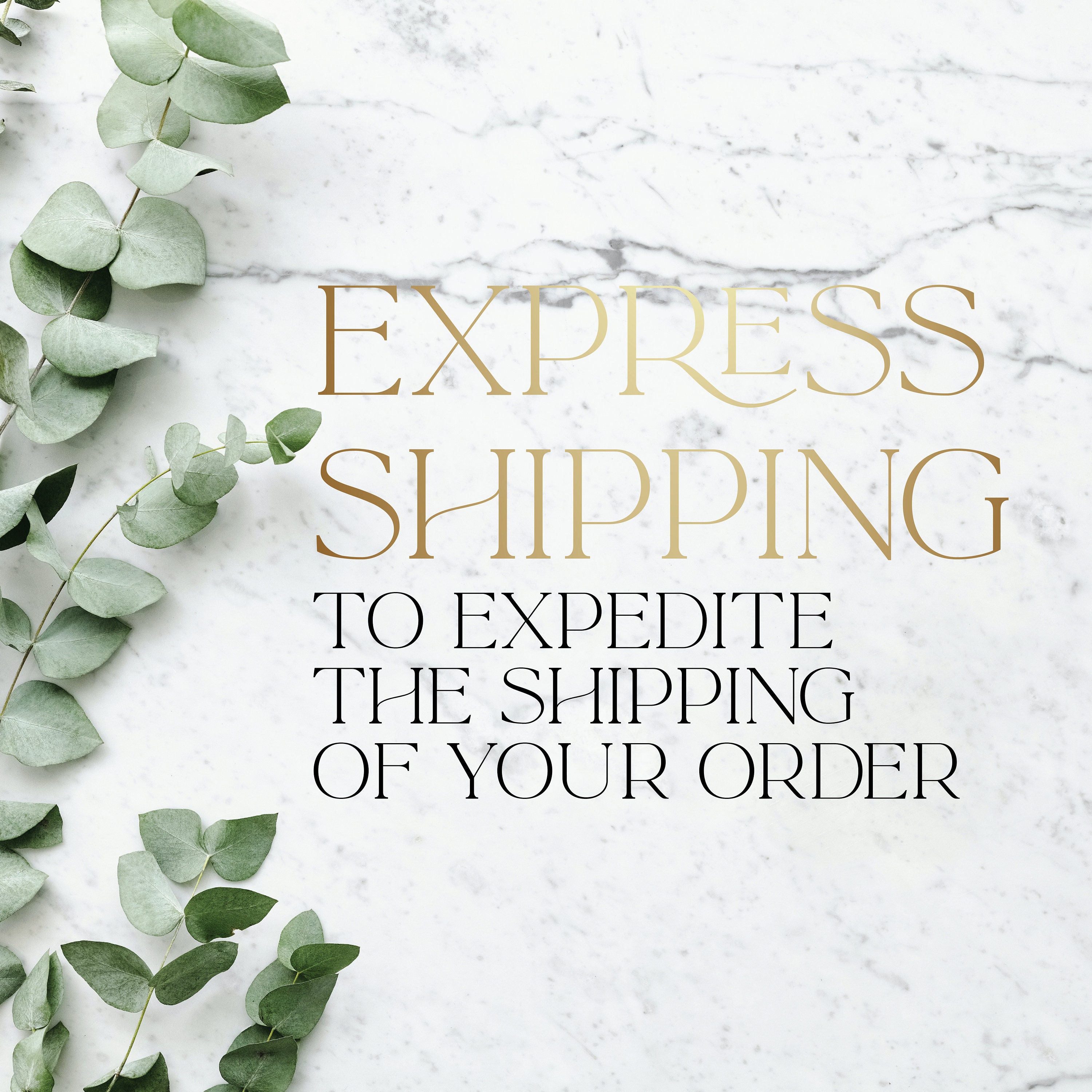 EXPRESS Shipping Upgrade - Etsy