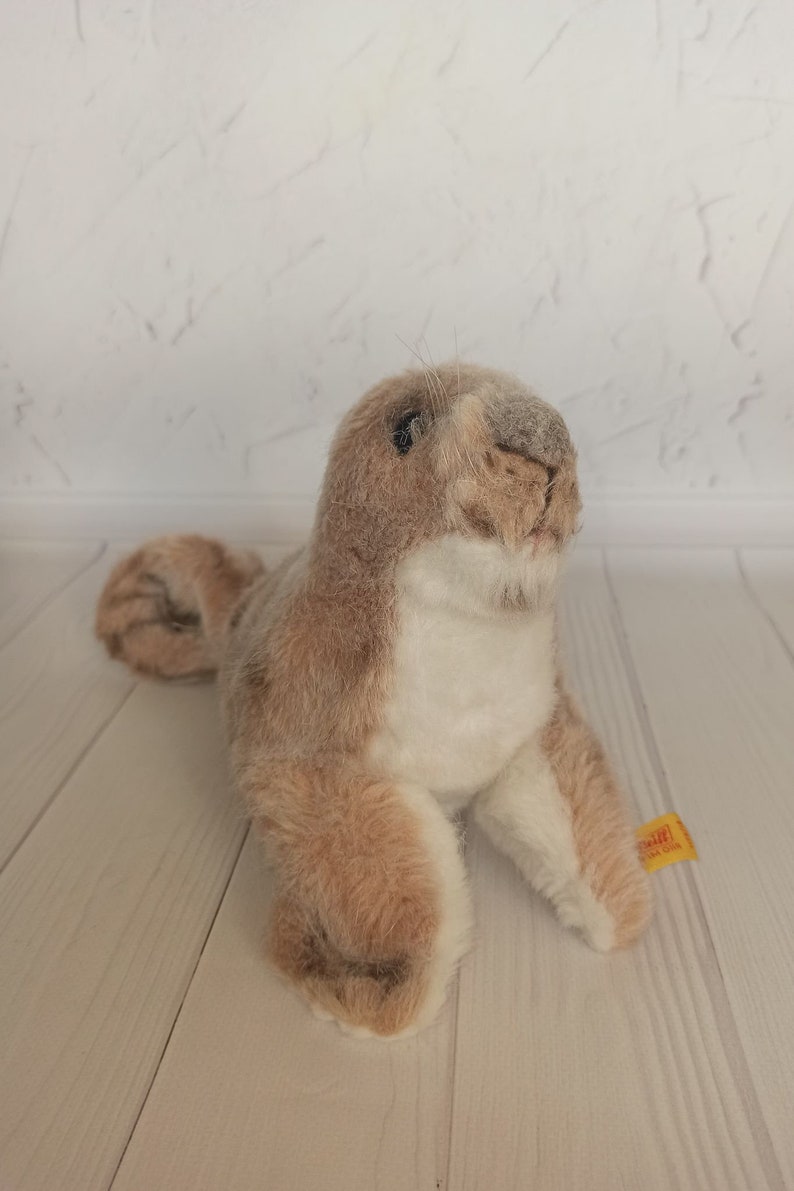 Steiff Plush Robby Seal 1175/14 Button Tag Original Steiff Plush ANIMAL ...